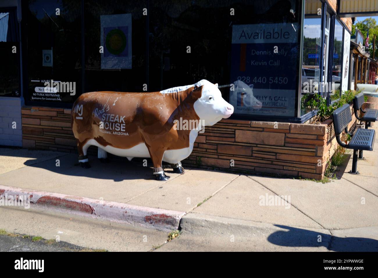 Cow as an advertisement outside of a Steak House on Route 66 in ...
