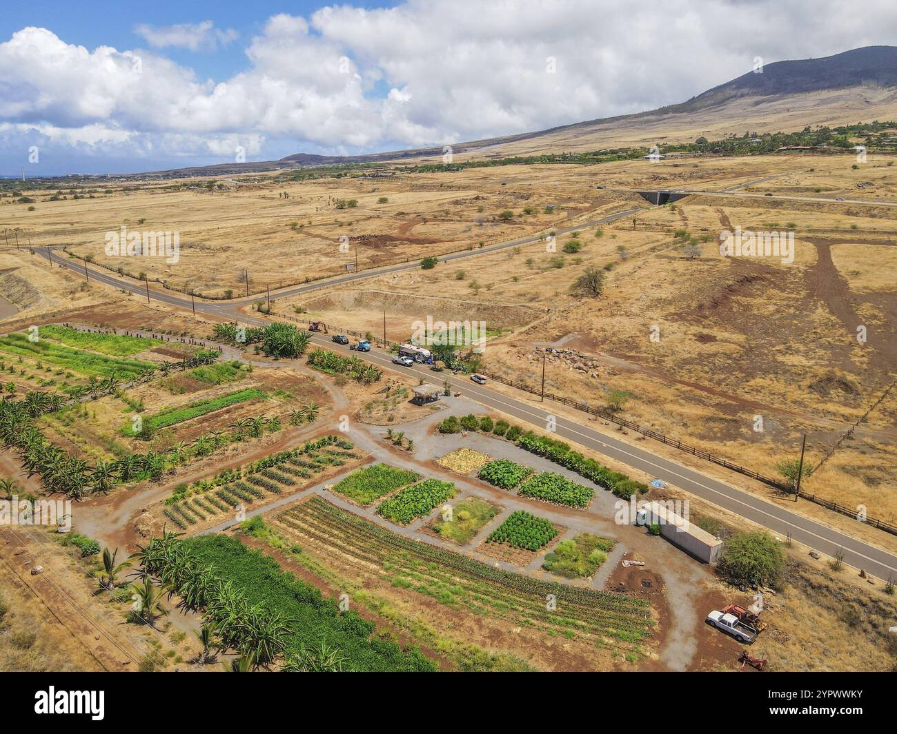Aerial view of yellow dry landscape and mountain during hot summer in ...