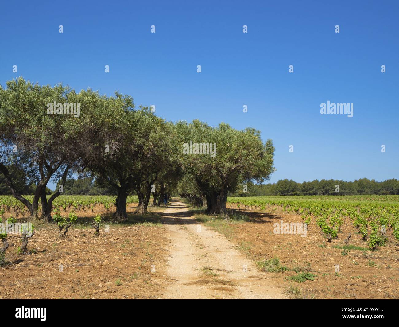 Countryside marseille france hi-res stock photography and images - Alamy