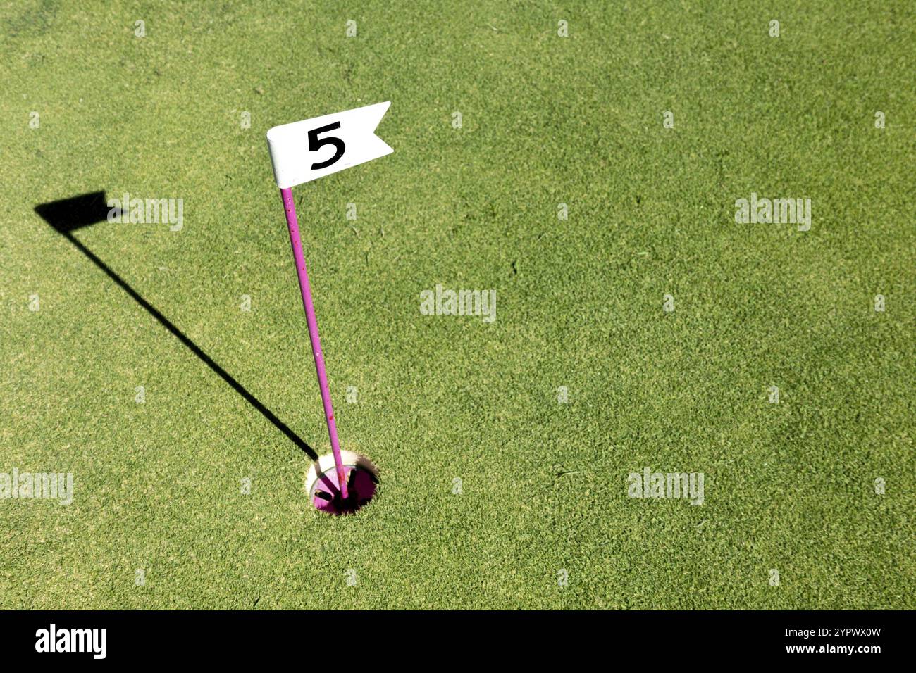 Hole marked with small flag at the mini golf area. Number flag on a ...