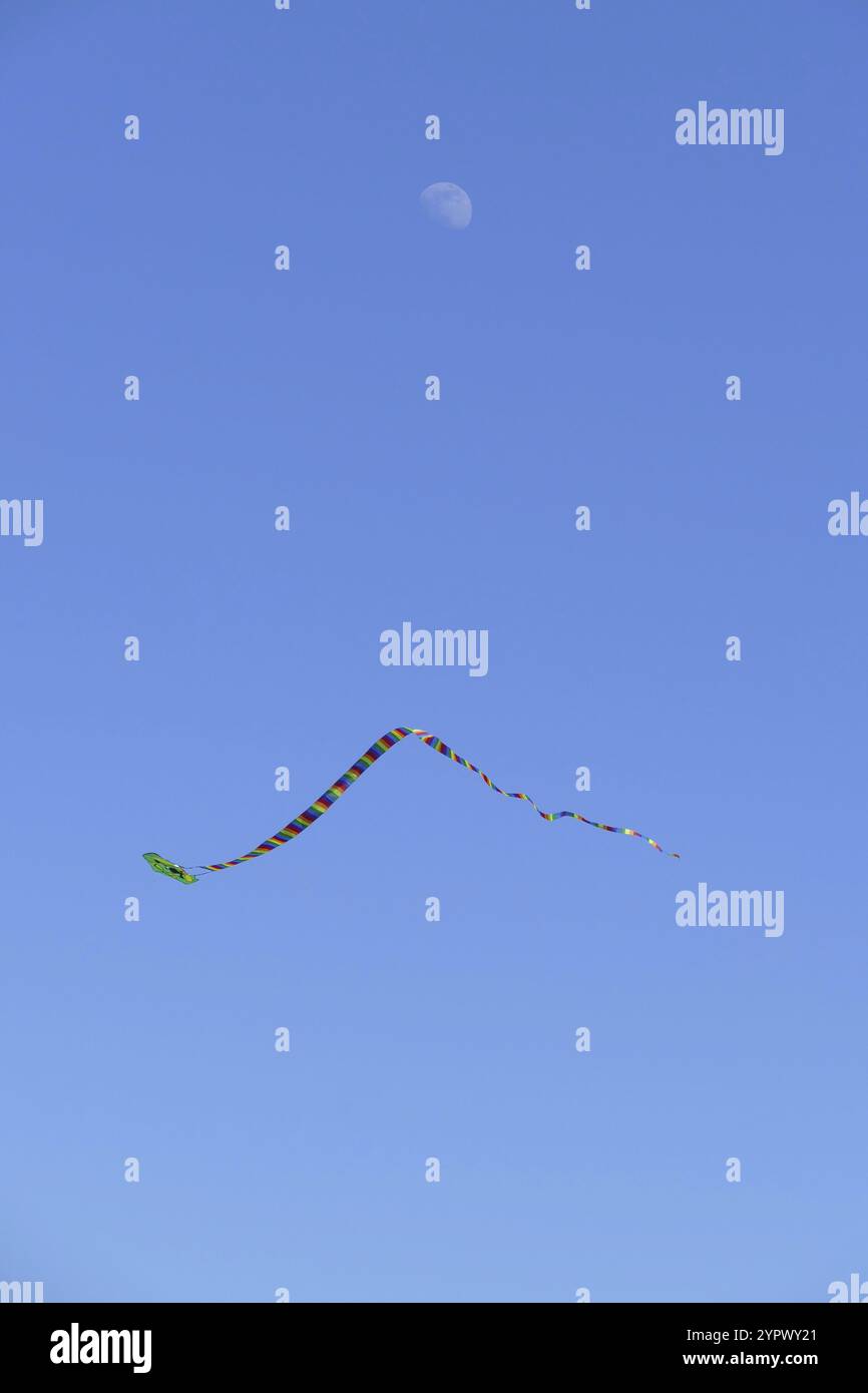 Kite in blue sky with funny tail and moon in the background Stock Photo ...