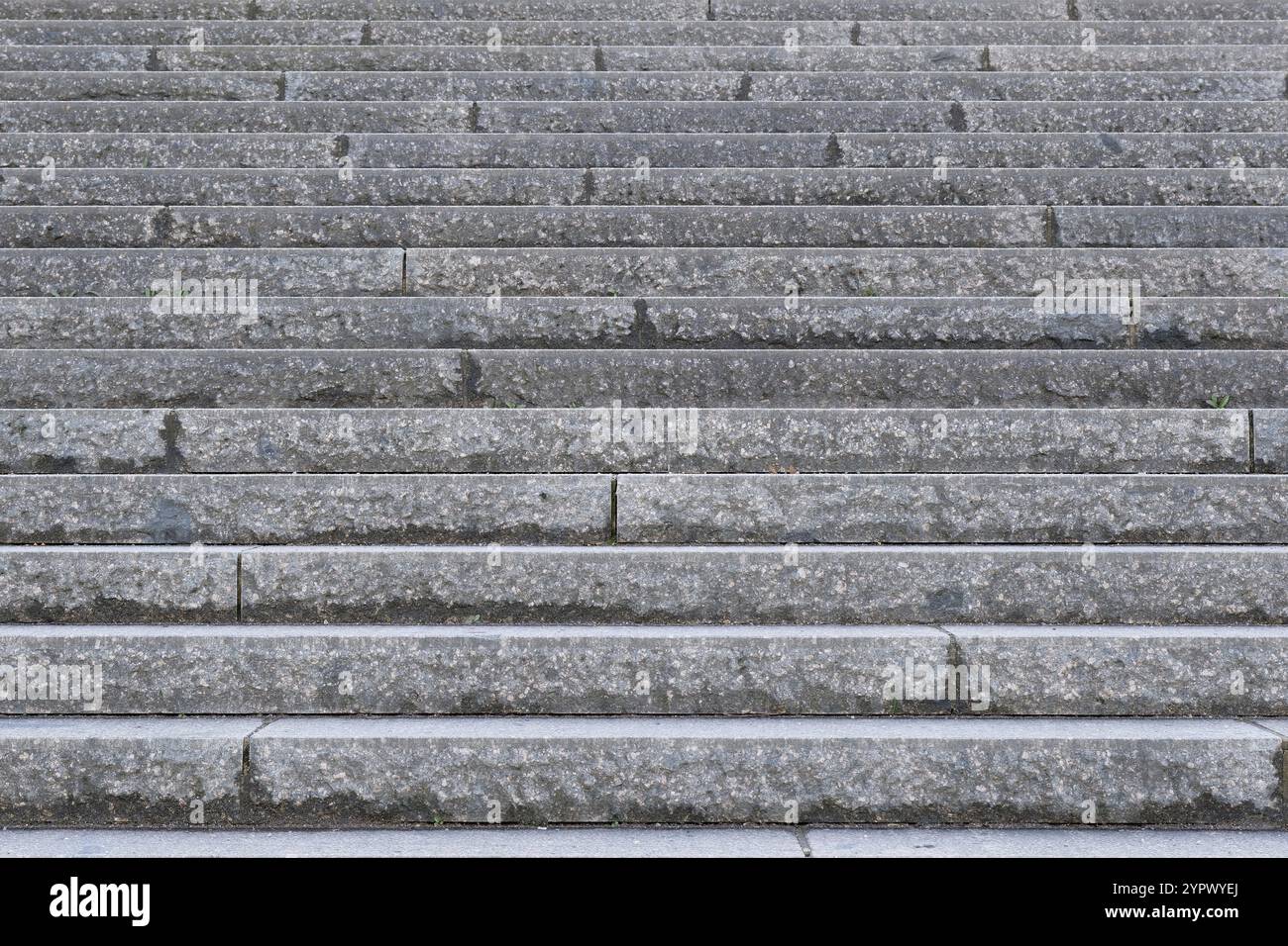 Full front frontal view hi-res stock photography and images - Alamy