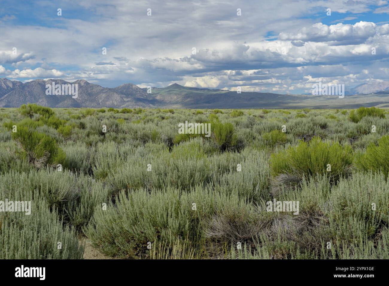 Crowley lake hi-res stock photography and images - Alamy