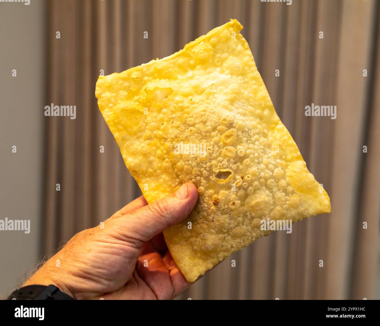 Traditional Brazilian fried pastry stuffed with ground beef. "Pastel de ...