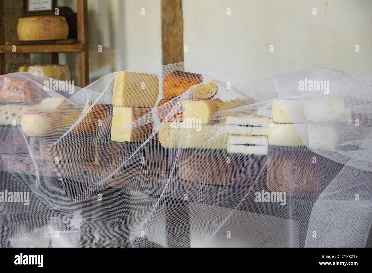 Cheeses of different varieties hi-res stock photography and images - Alamy