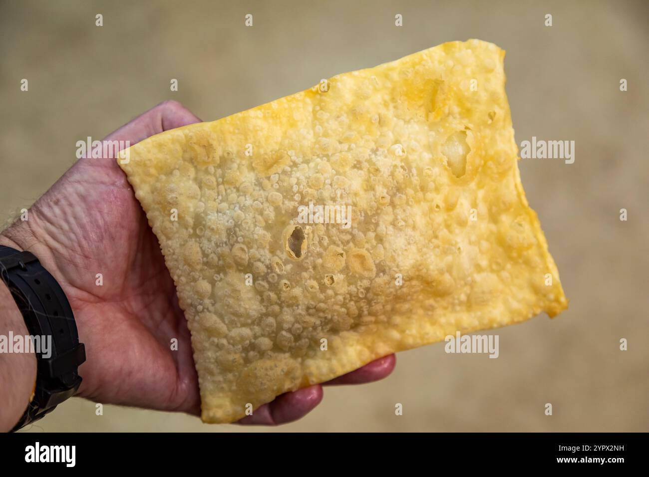 Traditional Brazilian fried pastry stuffed with ground beef. "Pastel de ...