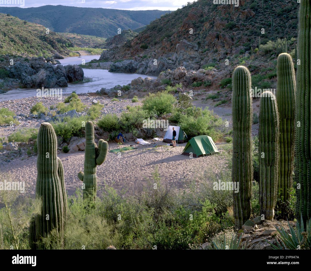 Single white male stands in the campground along the Verde River during ...