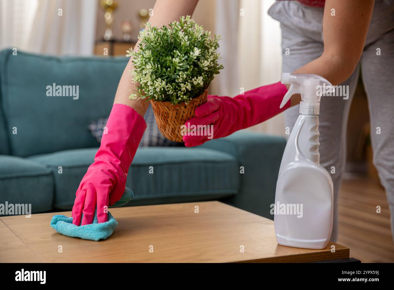 Home Cleaning with Care Achieving a Bright and Fresh Living Space for ...