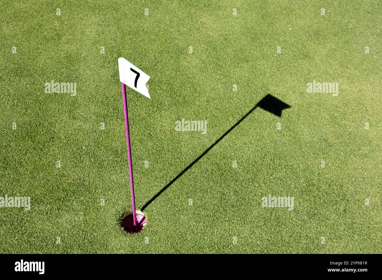 Hole marked with small flag at the mini golf area. Number flag on a ...