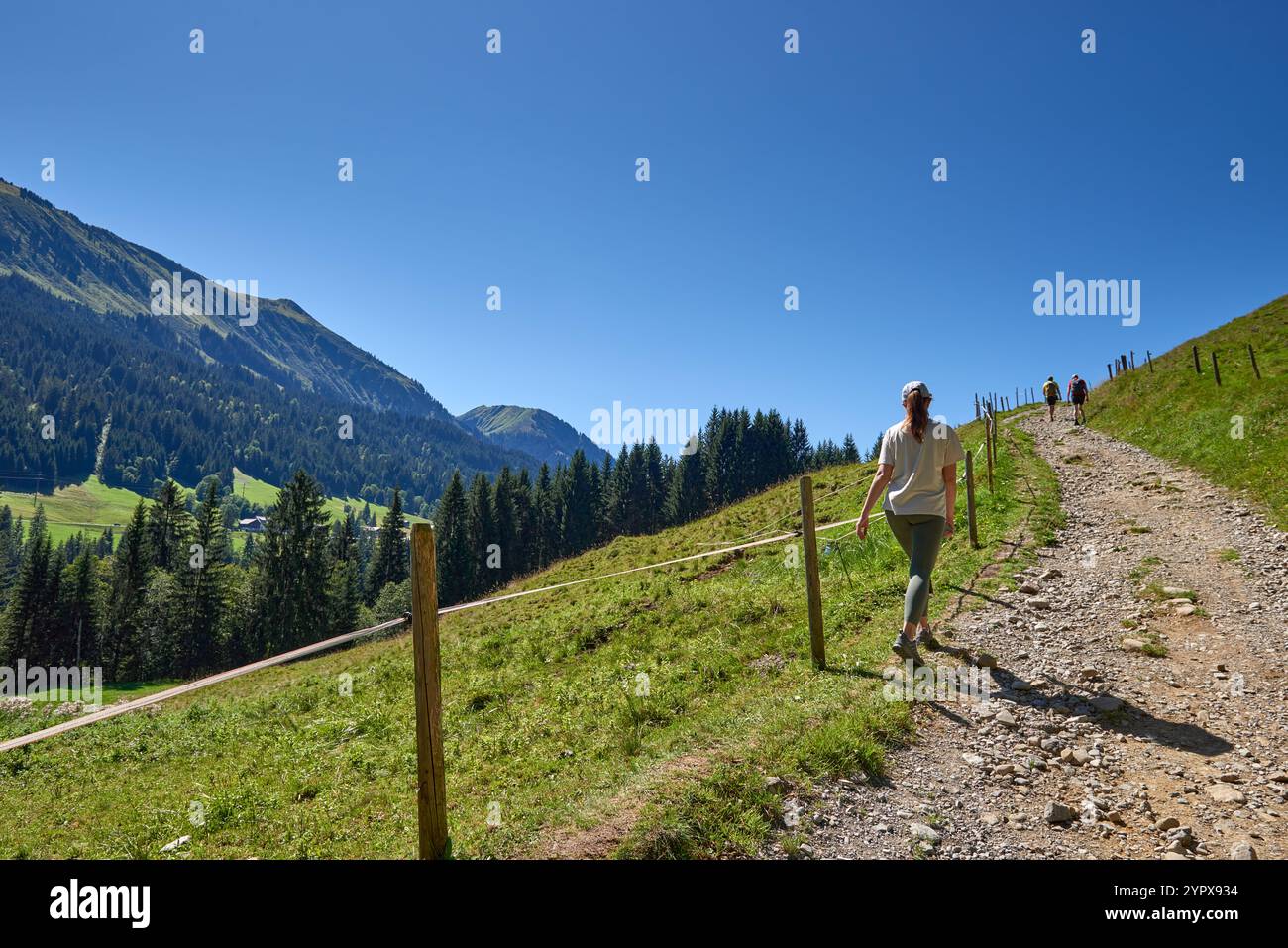 Young Woman Hiking Mountain Trail Through Alpine Meadows With Dramatic ...