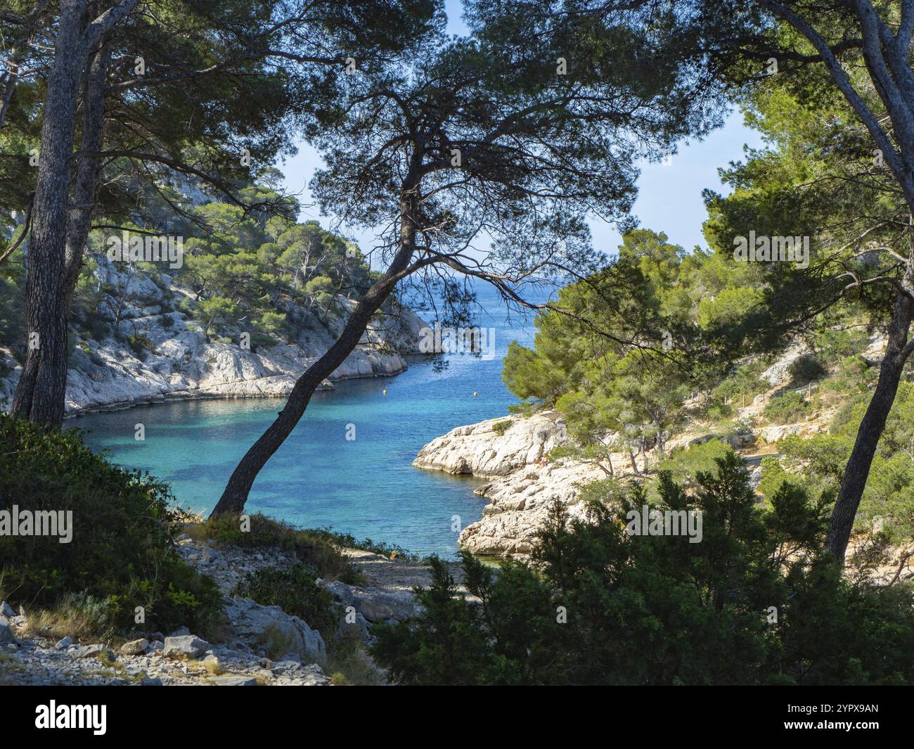 Typical situation at the rocky coast of Calanques National Park, France ...