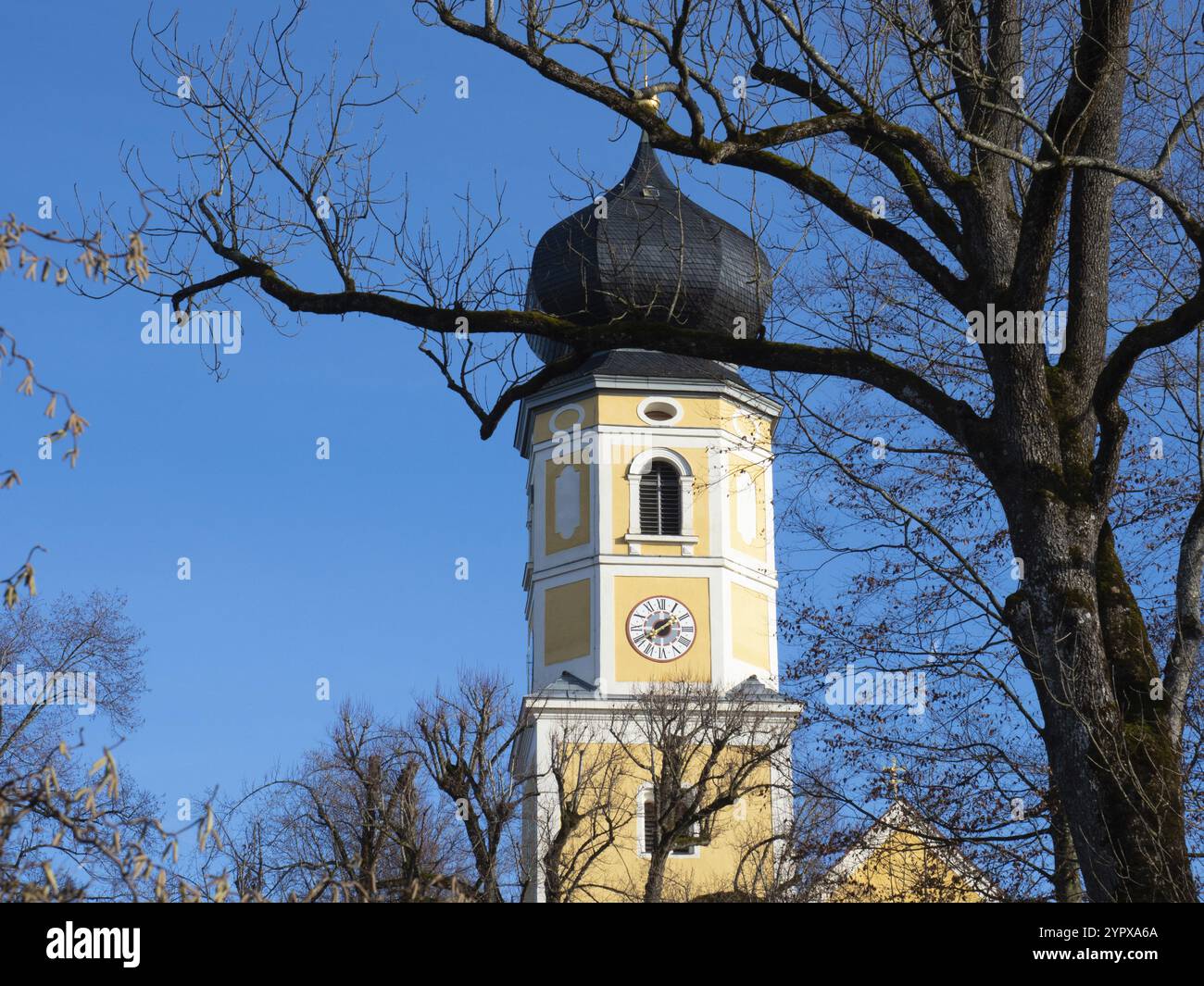 The famous yellow church tower of the monastery of Bernried, Bavaria, Germany, behind a tree and ...