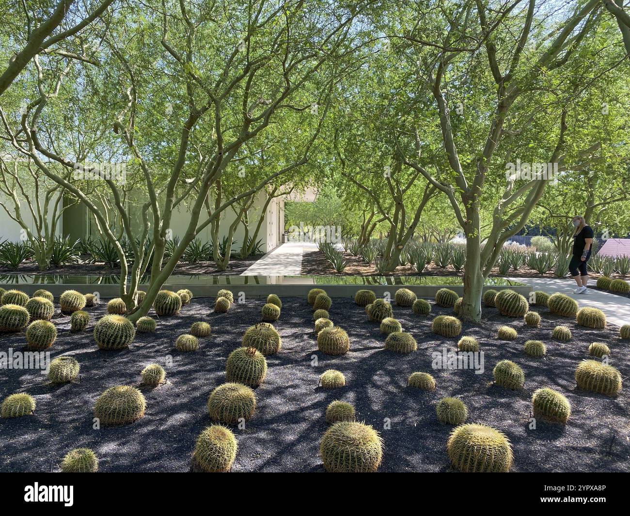 Sunnylands center and garden in Rancho Mirage, Desert environment park ...