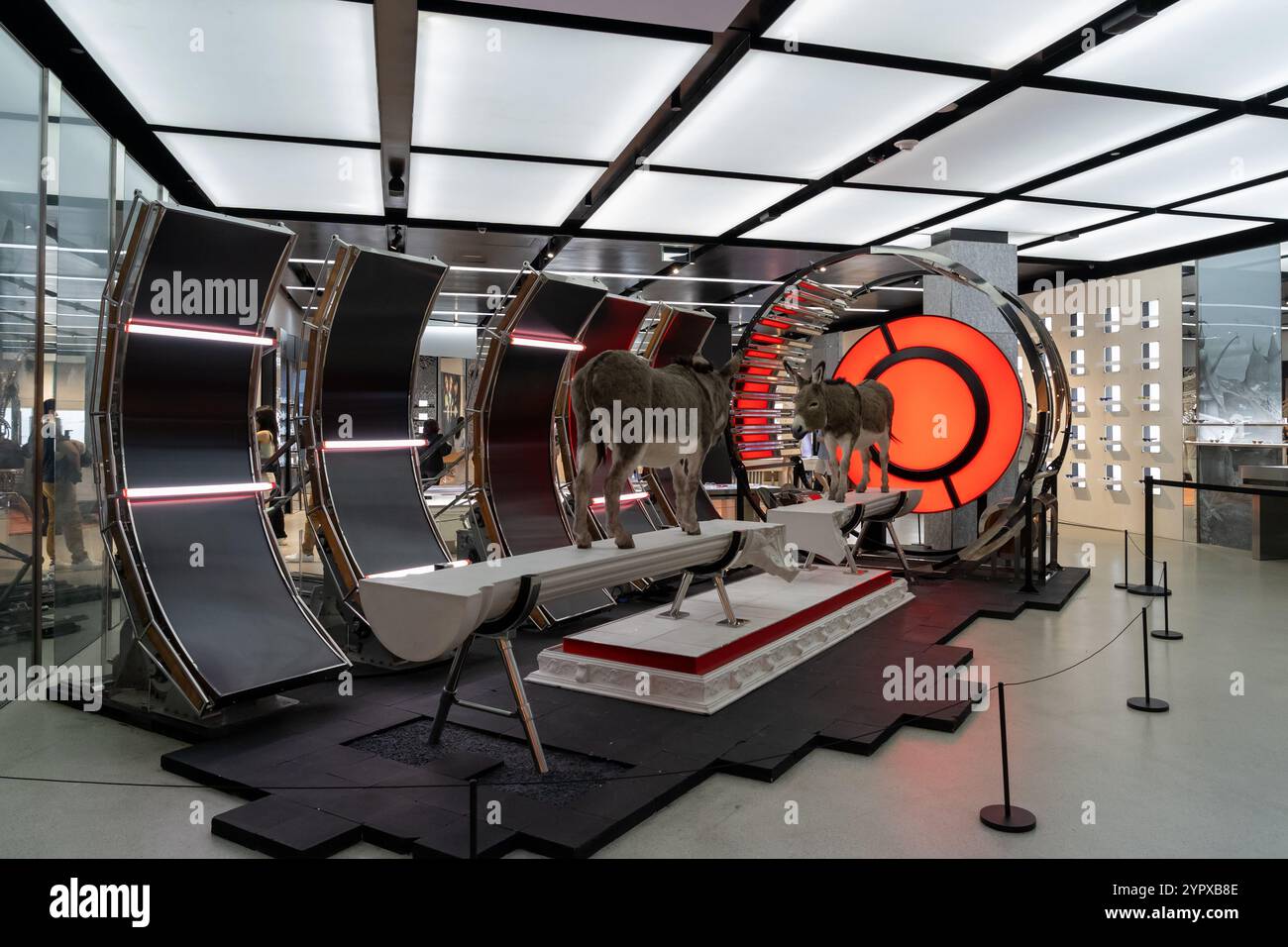 GENTLE MONSTER store at Westfield Valley Fair in Santa Clara ...