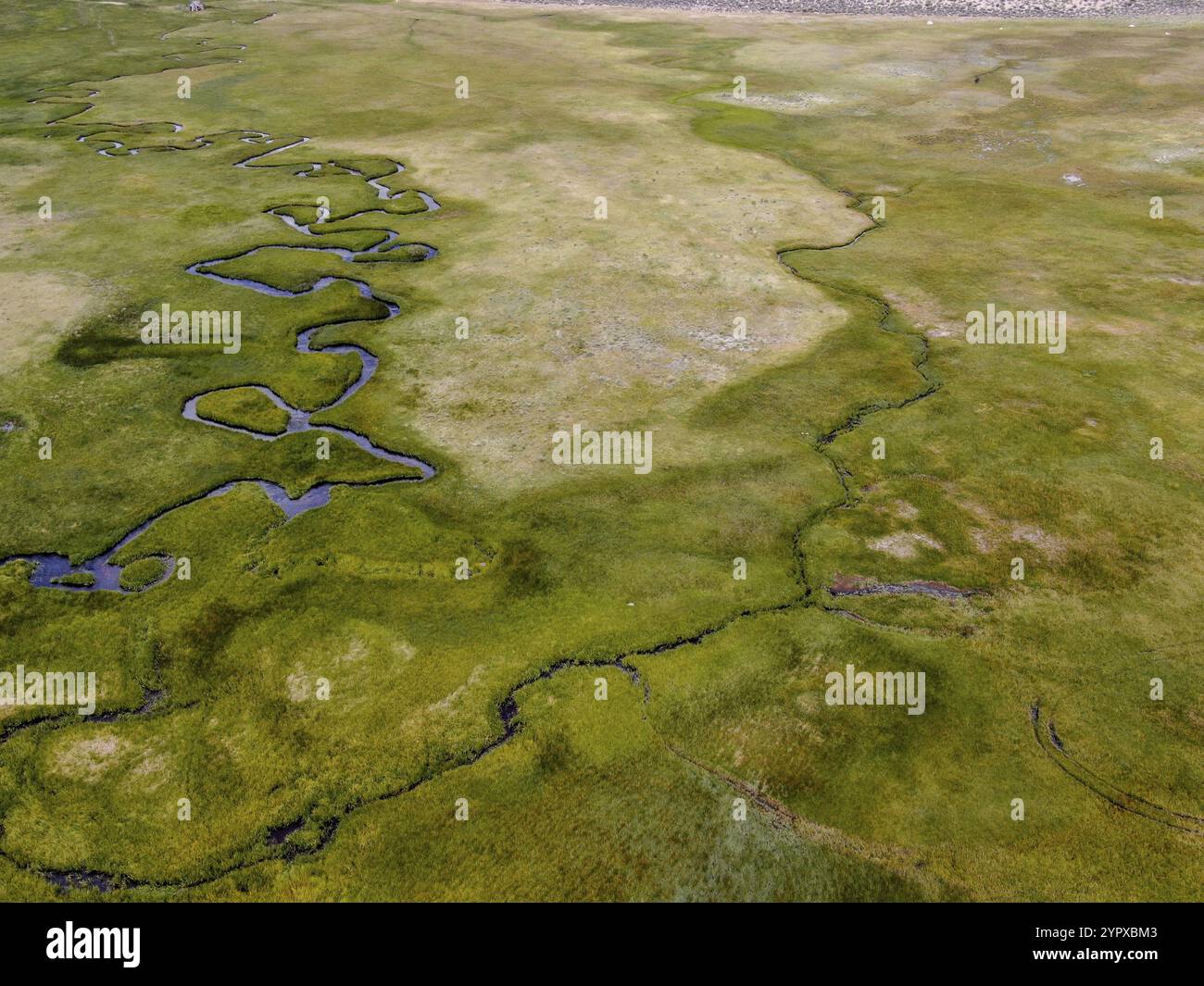 Aerial view of green land and small curve river in Aspen Springs, Mono ...