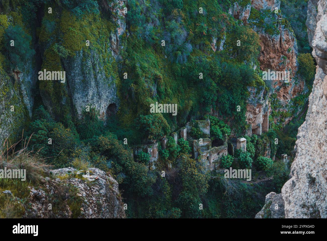 Lush Green Landscape with Ruins in Ronda, Spain Stock Photo - Alamy