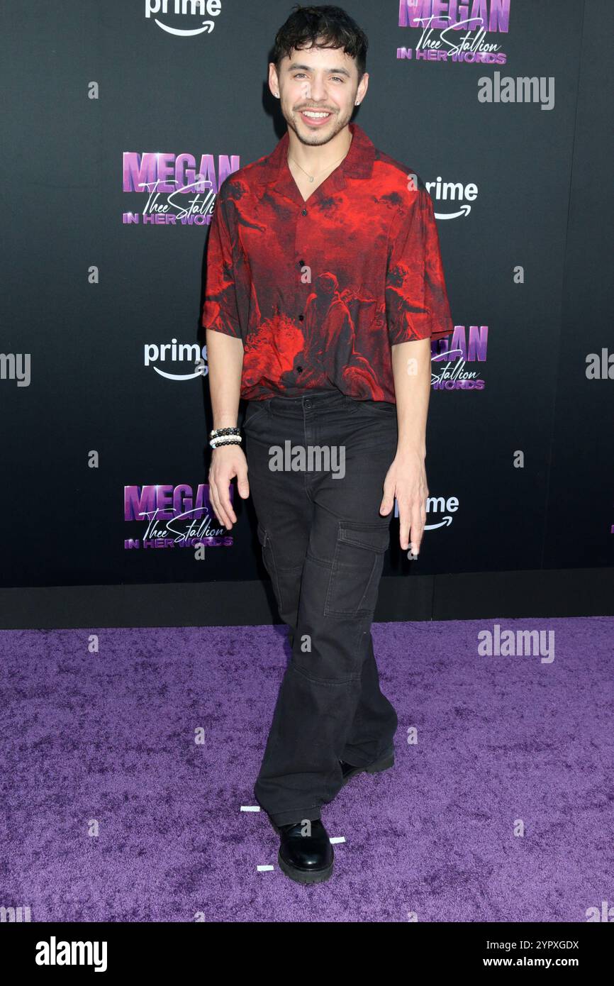 Megan Thee Stallion: In Her Words Premiere at the TCL Chinese Theater ...