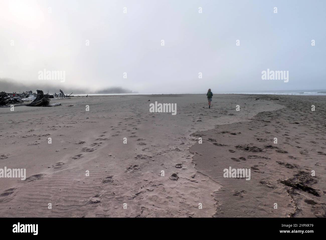 Single person walking along Second Beach in the Olympic National Park ...