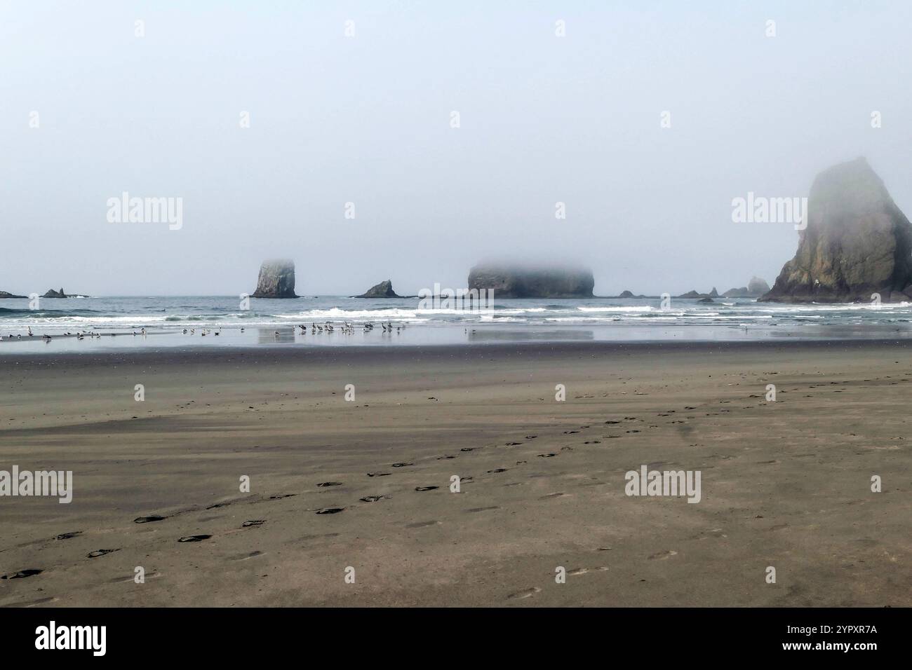 Scenic view at Second Beach, Olympic National Park, Washington state ...