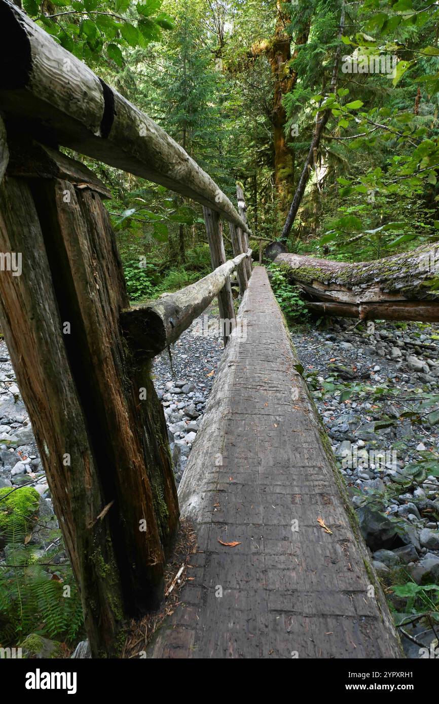 Wooden footbridge crossing over a shallow cree Stock Photo - Alamy