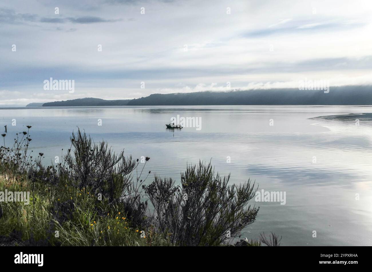 Hood canal on u s route 101 washington hi-res stock photography and ...