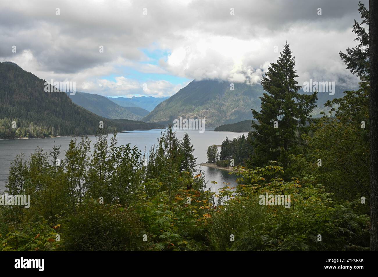 Overlook of lake cushman through the trees hi-res stock photography and ...
