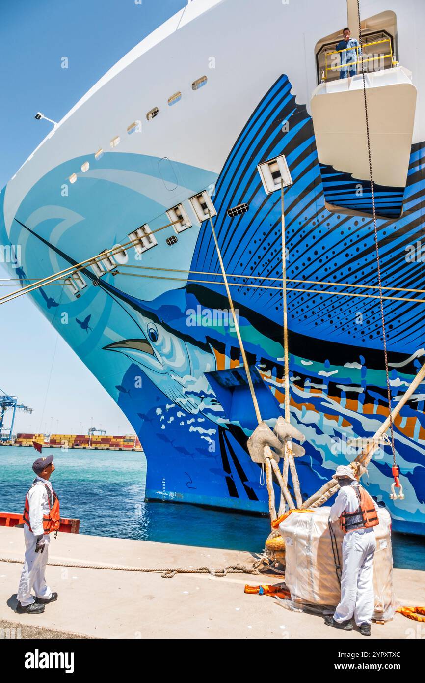 Livery hull artwork marlin fish hi-res stock photography and images - Alamy