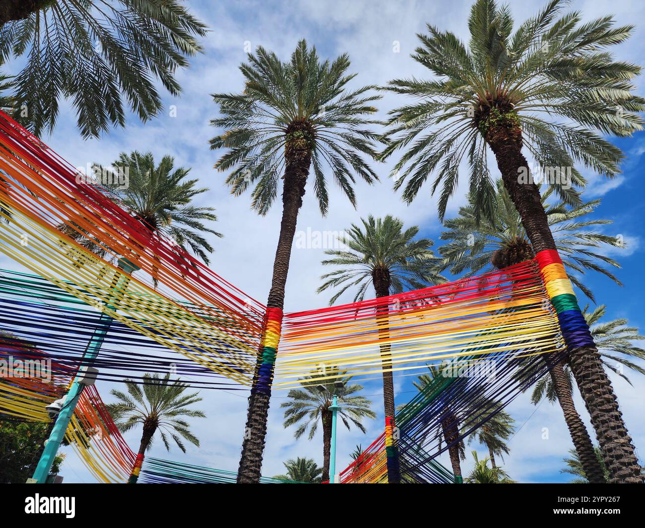 Palm tree. Summer vacation in South beach, Florida. Palm tree of Miami ...