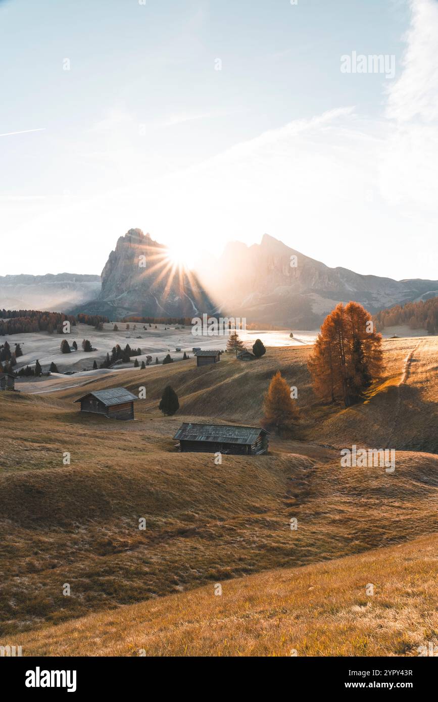 Serene Alpine Sunrise: Experience the Breathtaking Beauty of Autumn Trees, Majestic Mountains ...