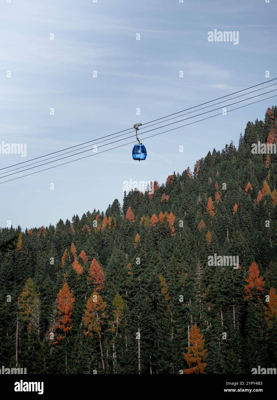 Serene forest scene cable hi-res stock photography and images - Alamy