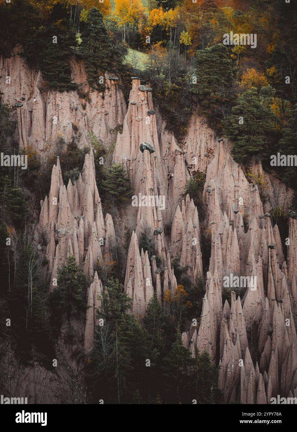 Earth Pyramids Nestled in Pine Forest: Unique and Picturesque Scene in ...