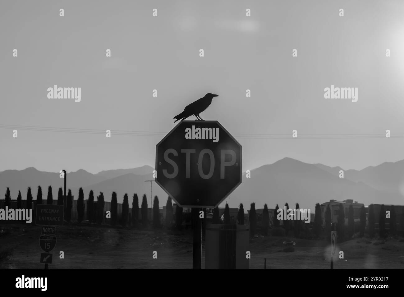 Crow warning sign Black and White Stock Photos & Images - Alamy