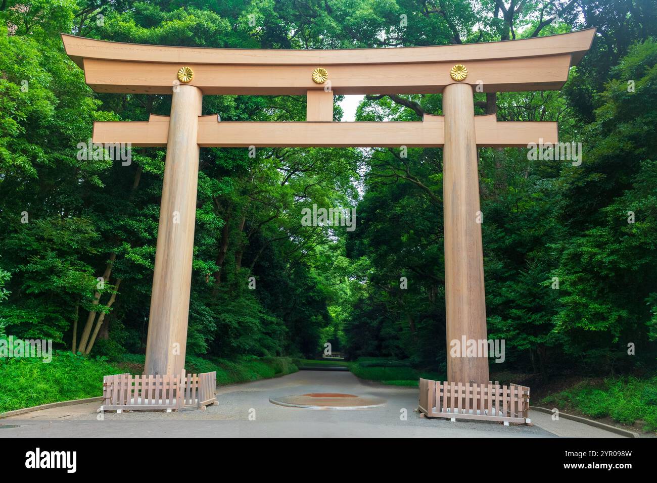 Tourists meiji jingu gaien in hi-res stock photography and images - Alamy