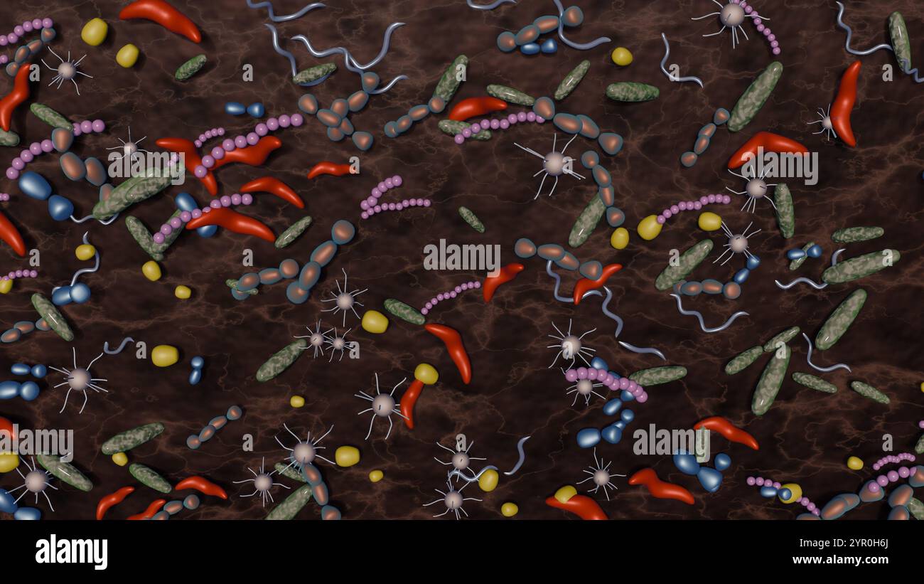 Mycelium network hi-res stock photography and images - Alamy