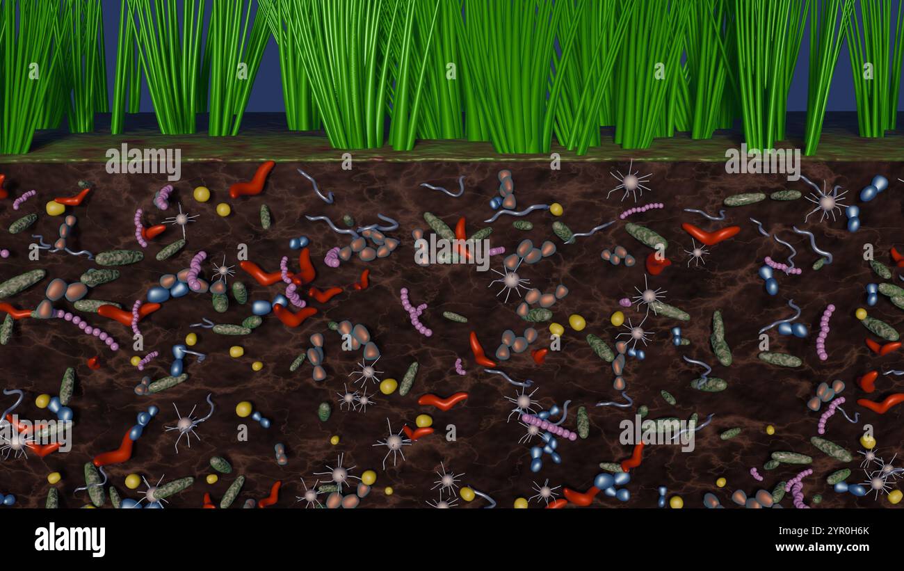 Mycelium network hi-res stock photography and images - Alamy