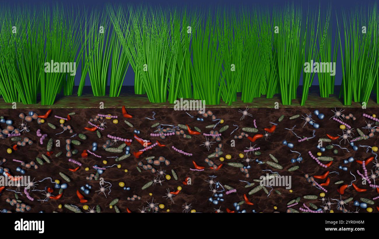 Mycelium network hi-res stock photography and images - Alamy