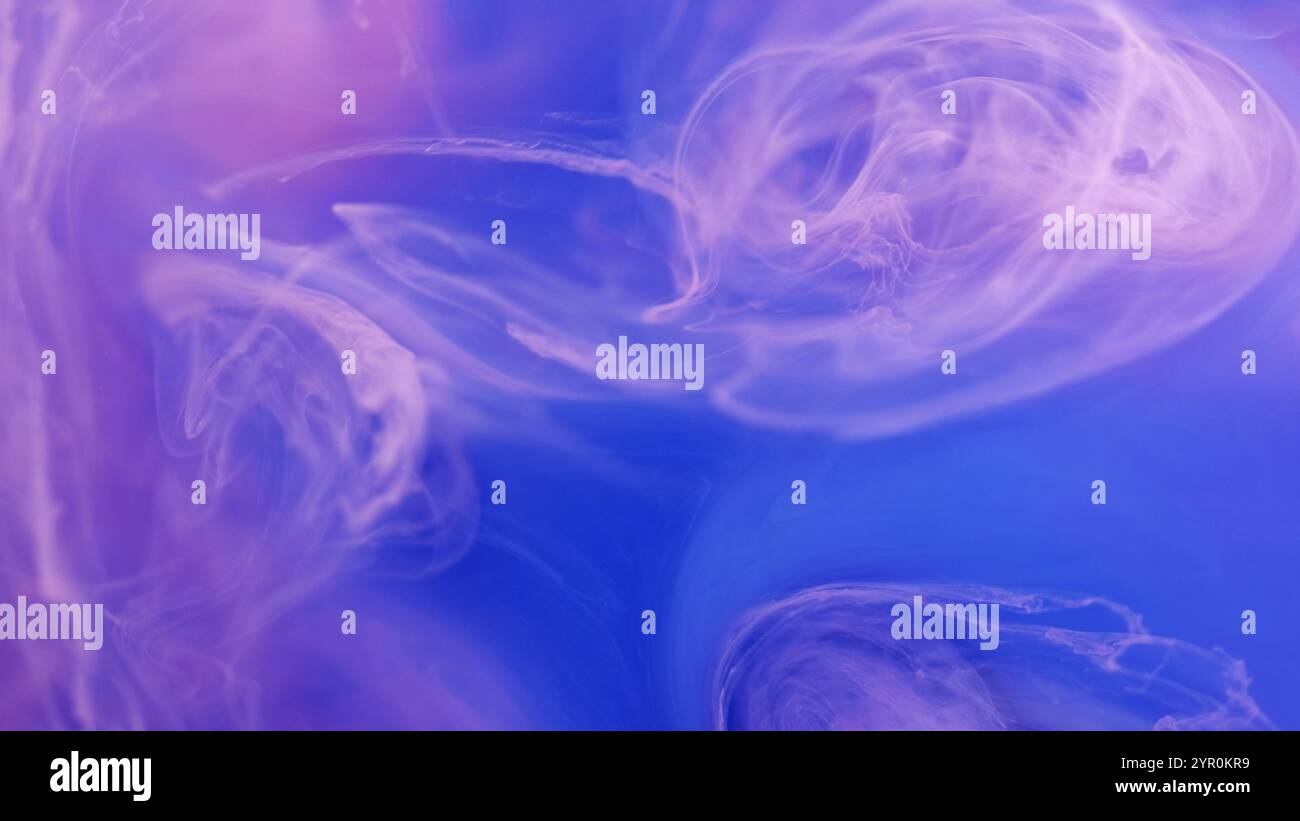 Atmospheric smoke. Sparkling water art. Defocused bright pink blue ...