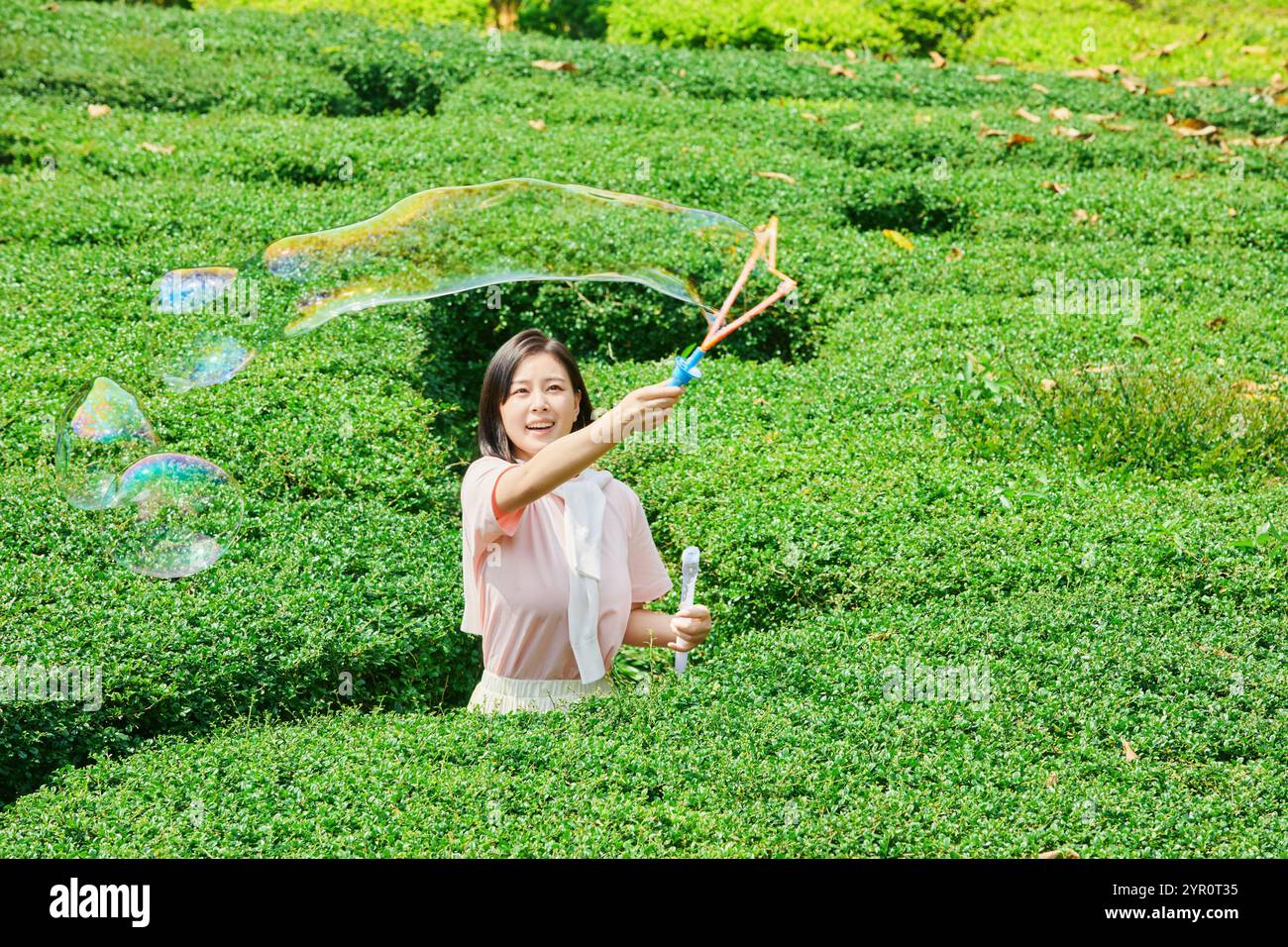 The woman standing in the middle of the green maze Stock Photo - Alamy