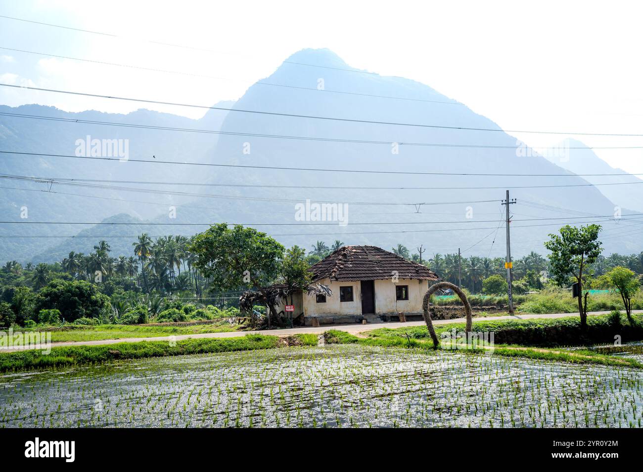 Kollengode, a small hamlet in the Palakkad district of Kerala, is known ...