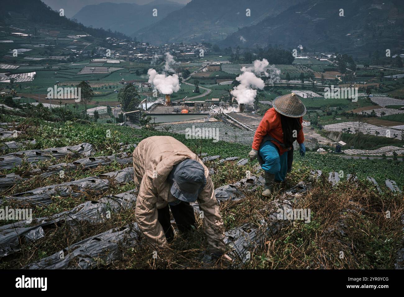Farmers tend to their field as steam rises from a geothermal power ...