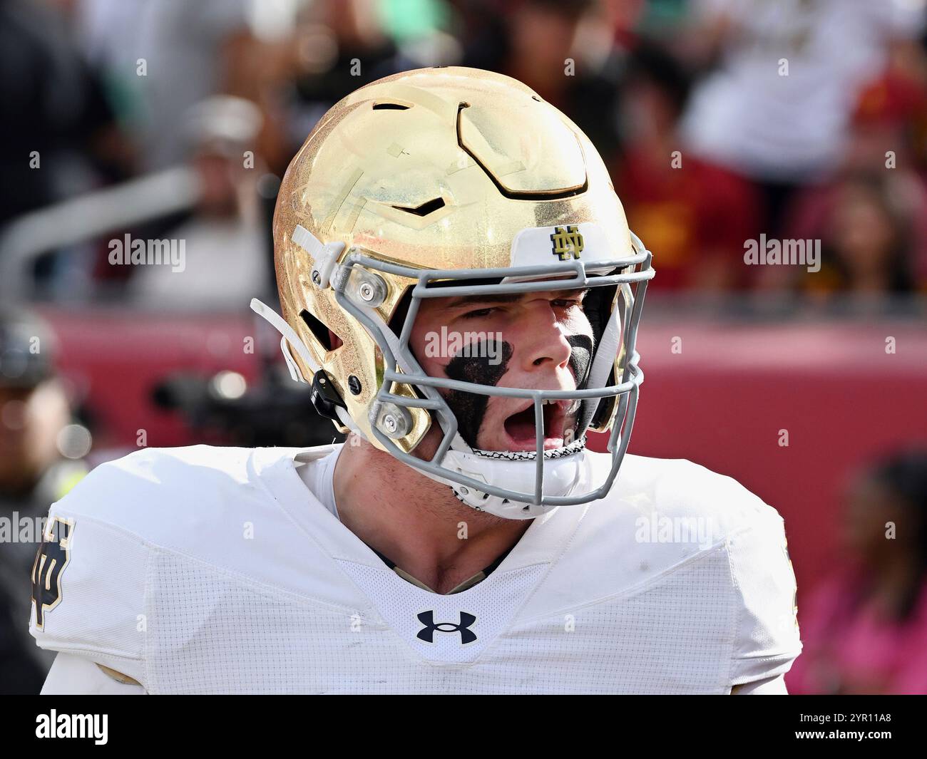 LOS ANGELES, CA - NOVEMBER 30: Notre Dame Fighting Irish tight end ...