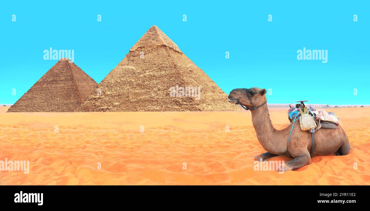 Camel in a colorful horse-clothes resting on the sand near to pyramids, Giza, Cairo, Egypt ...