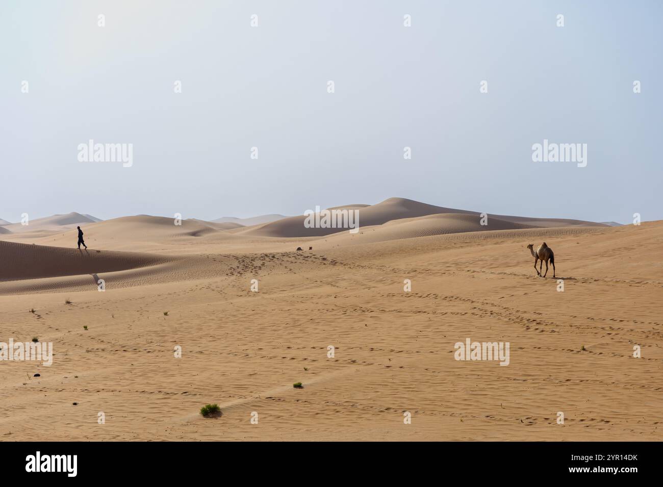 100 baiza hi-res stock photography and images - Alamy