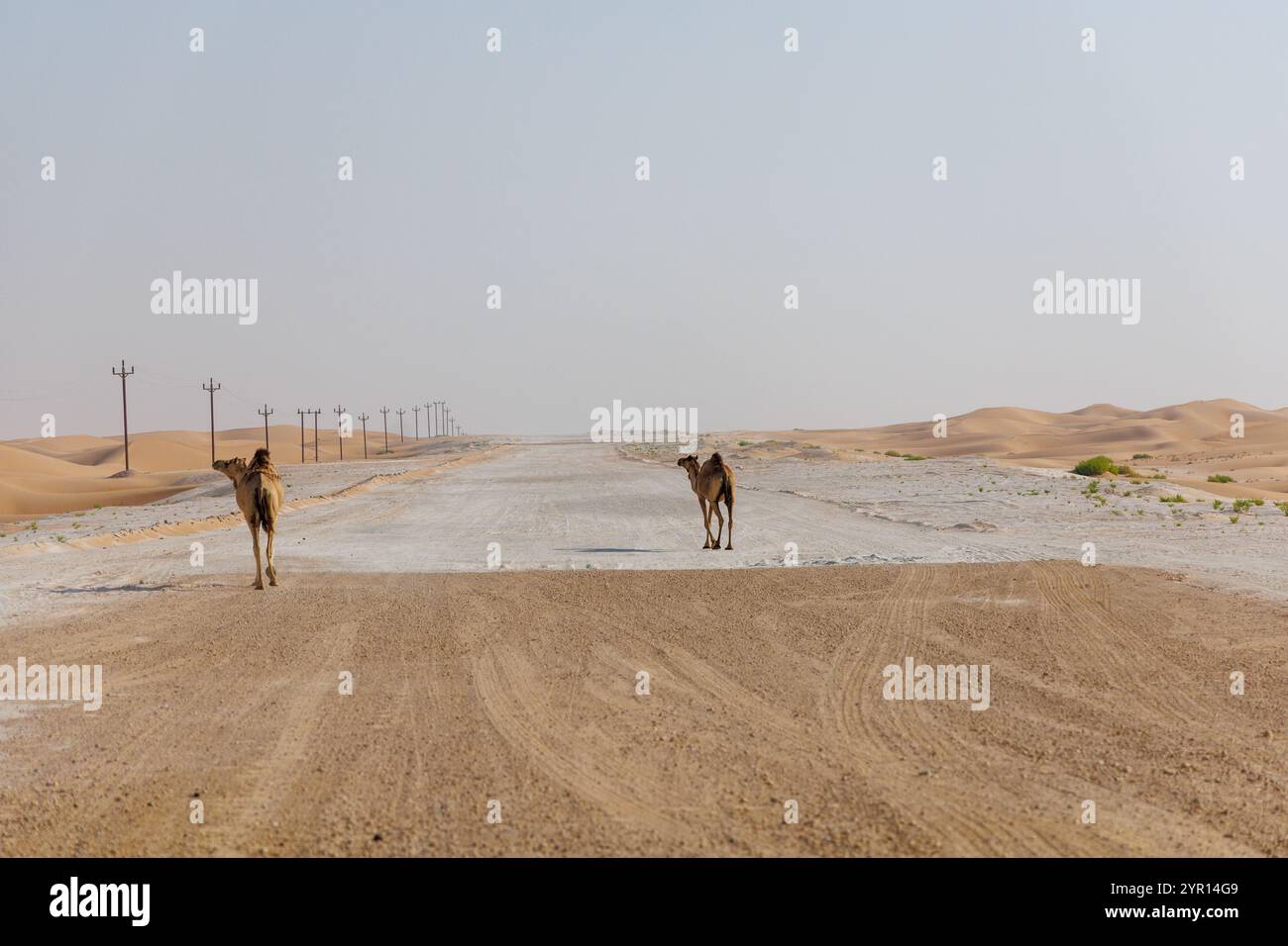 100 baiza hi-res stock photography and images - Alamy