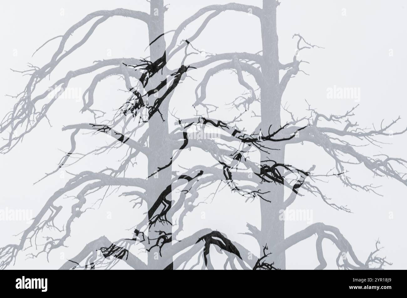 Image captures stark beauty hi-res stock photography and images - Alamy