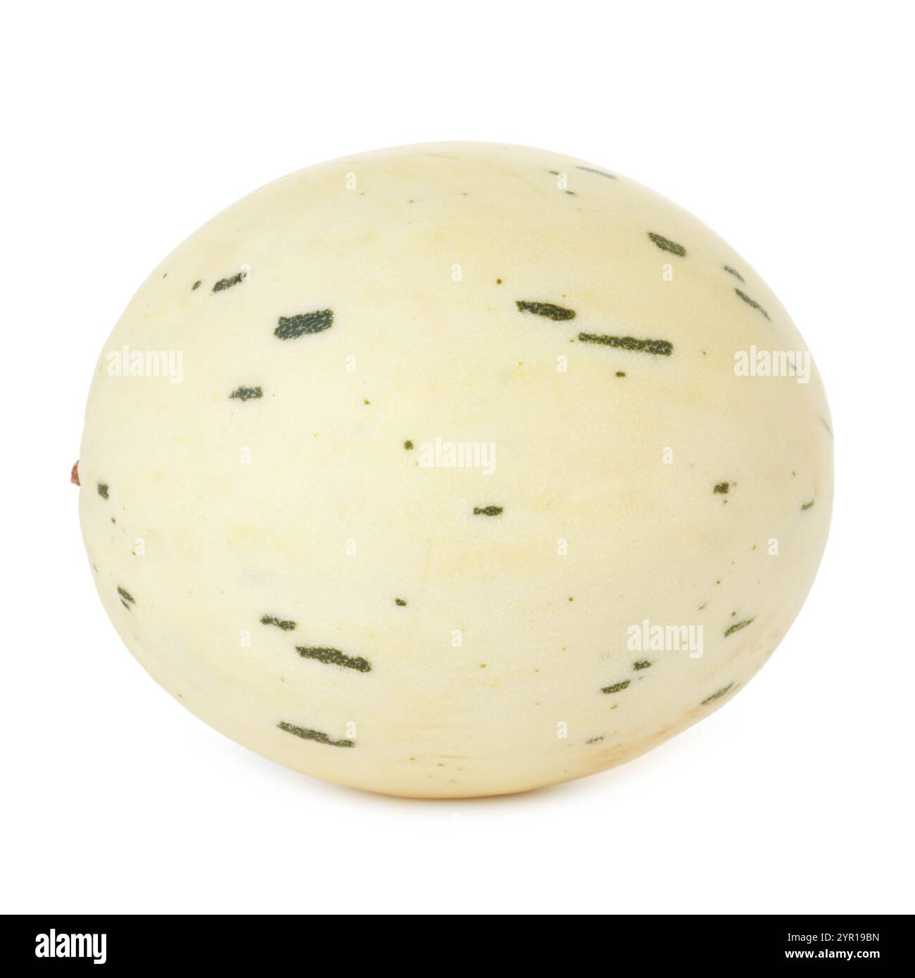 One fresh ripe melon isolated on white Stock Photo - Alamy