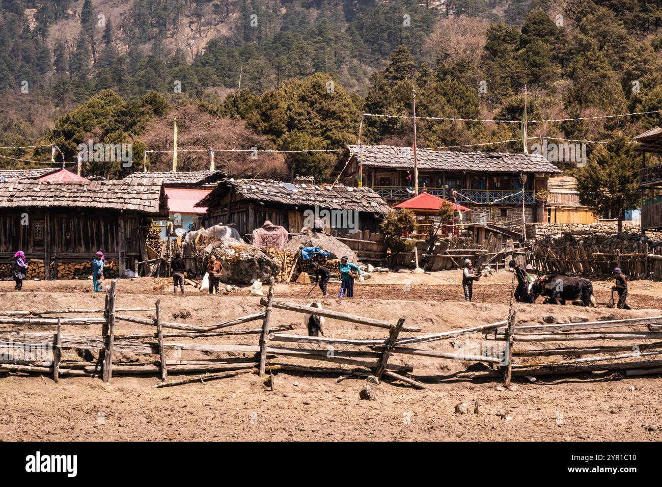 The traditional Tibetan village of Ghunsa on the Kangchenjunga ...