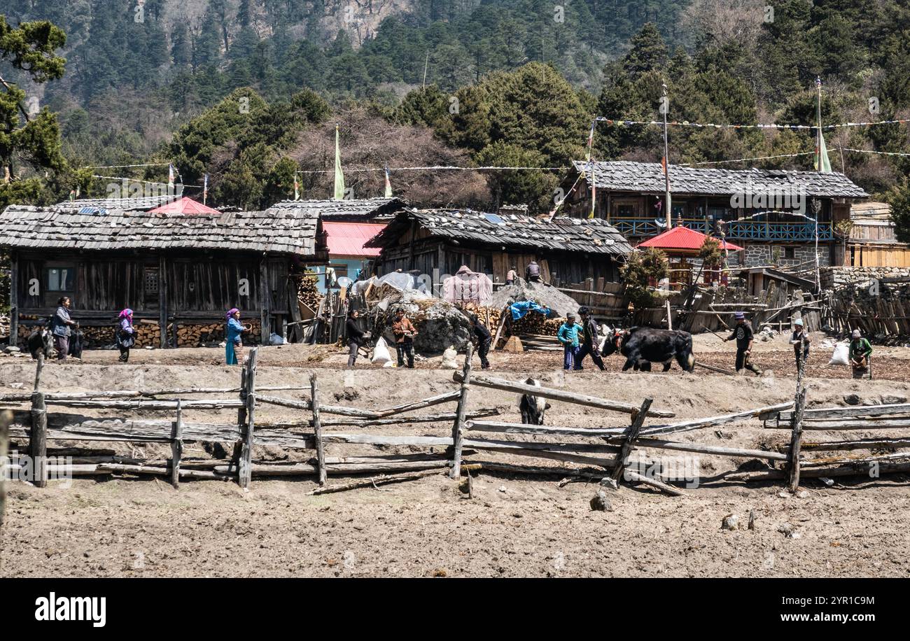 The traditional Tibetan village of Ghunsa on the Kangchenjunga ...