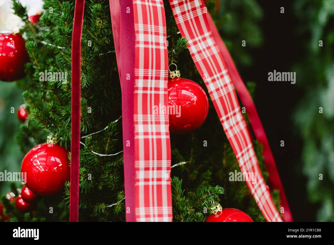 A red and white plaid ribbon is wrapped around a Christmas tree. There ...