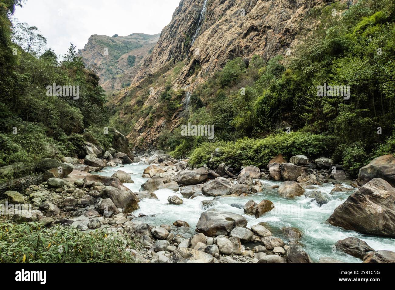 Sceneries along the Kangchenjunga (Kanchenjunga) Base Camp, trek ...